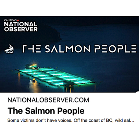 Brilliant Podcast Series of Alexandra Morton’s saga to protect wild ...