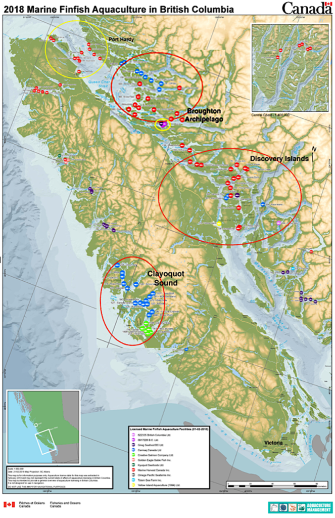 Home - Wild Salmon Action Team